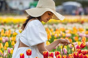 Don't miss out on these magical Niagara tulip farms | loveSTC - Tourism ...